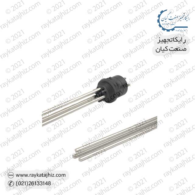 electrode type level switches - Raika Tajhiz Sanat Kian Company